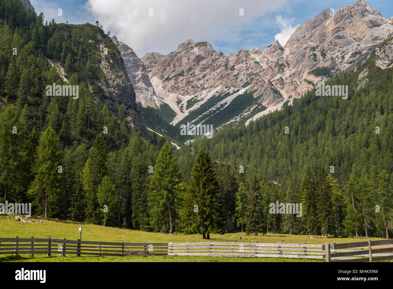 Braies valley, Pragsertal , Braies, Prags , Bolzano , Trentino Alto ...