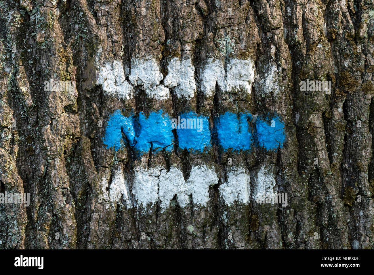 Tourist sign on the tree for a tourist trip Stock Photo - Alamy