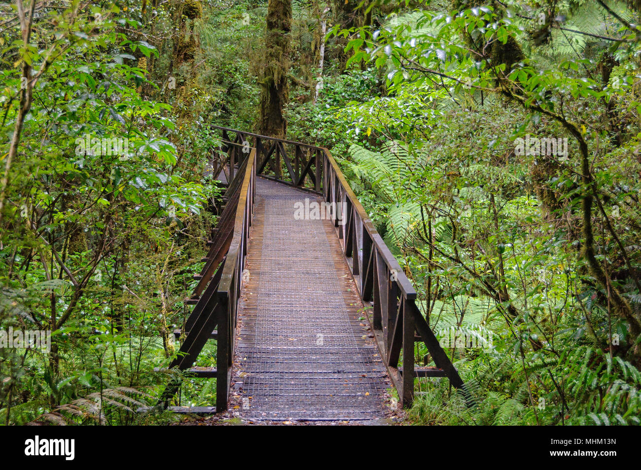 The chasm fiordland hi-res stock photography and images - Alamy