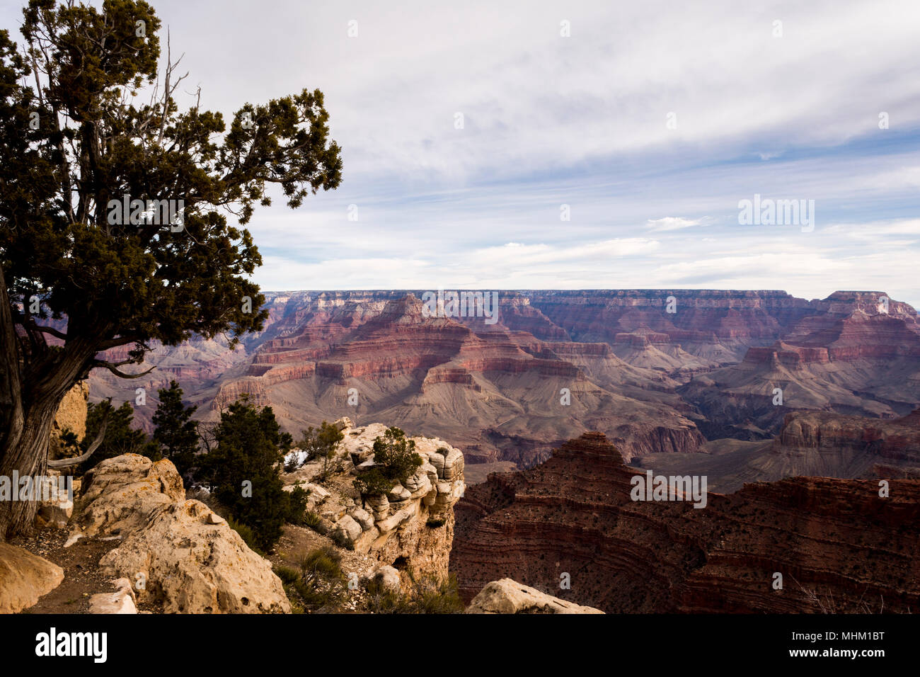 Overlook of the Grand Canyon, Arizona Stock Photo - Alamy