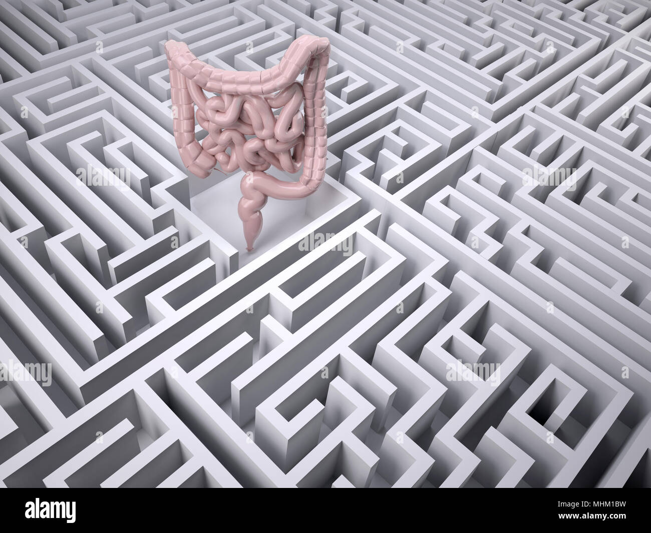 intestine in the labyrinth maze, 3d illustration Stock Photo - Alamy