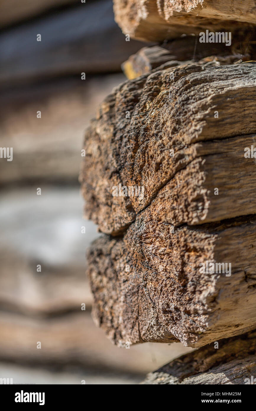 Log cabin wall texture hi-res stock photography and images - Alamy