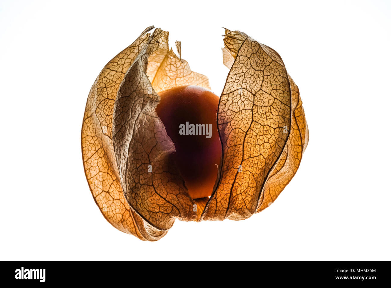 Round japanese lantern Cut Out Stock Images & Pictures - Alamy