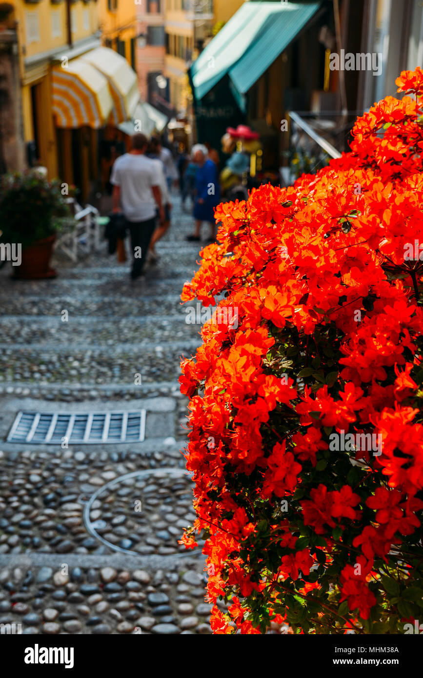 Picturesque narrow street with stairs in Bellagio, Lake Como, Lombardy ...