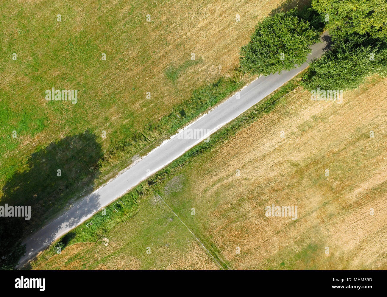 Abstract aerial view, vertical view of a path crossing the picture ...