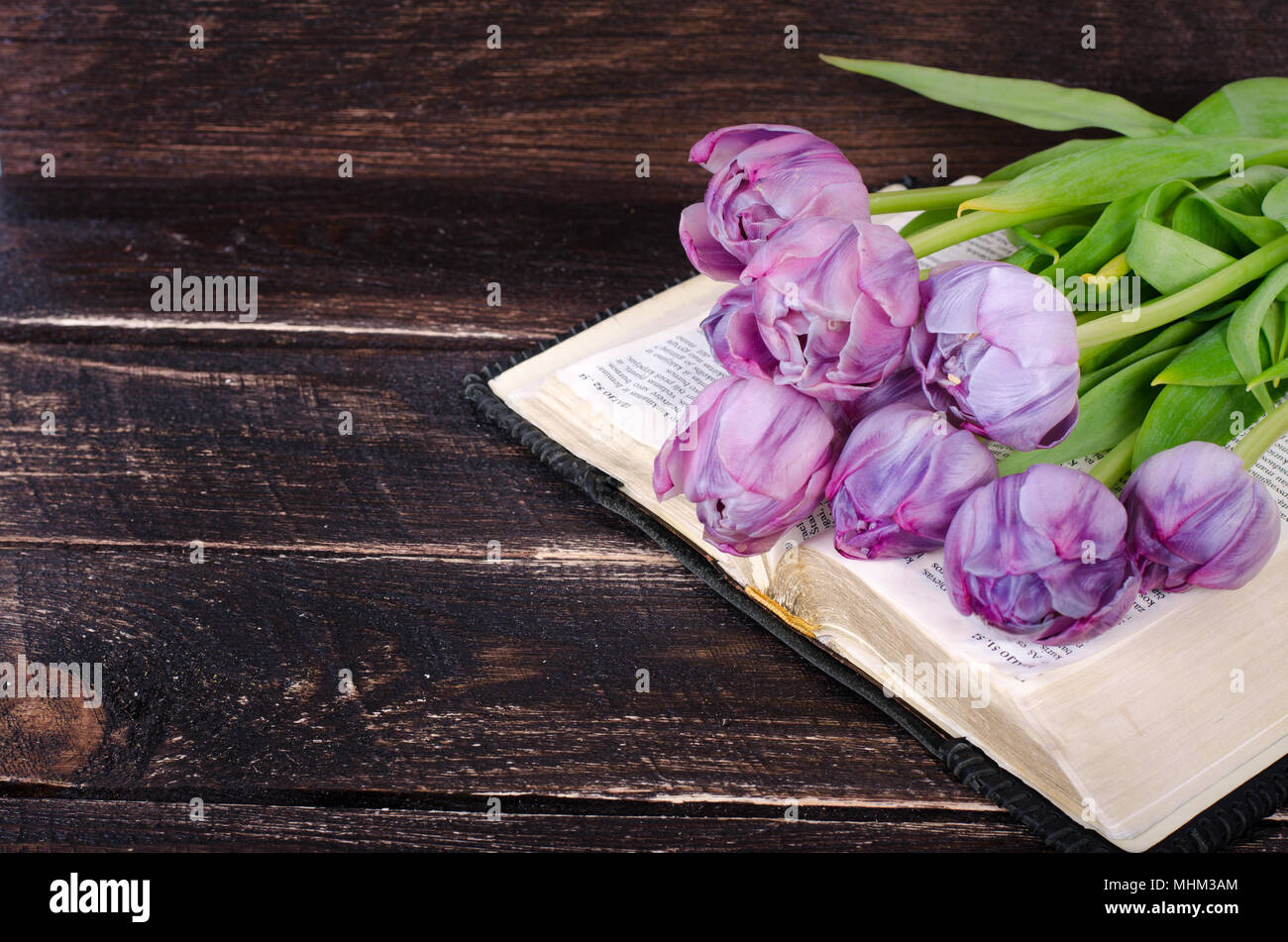 Vintage violet flower hi-res stock photography and images - Alamy