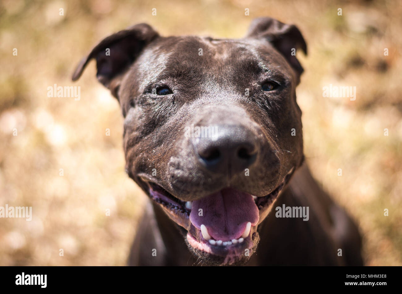 Joleen hi-res stock photography and images - Alamy