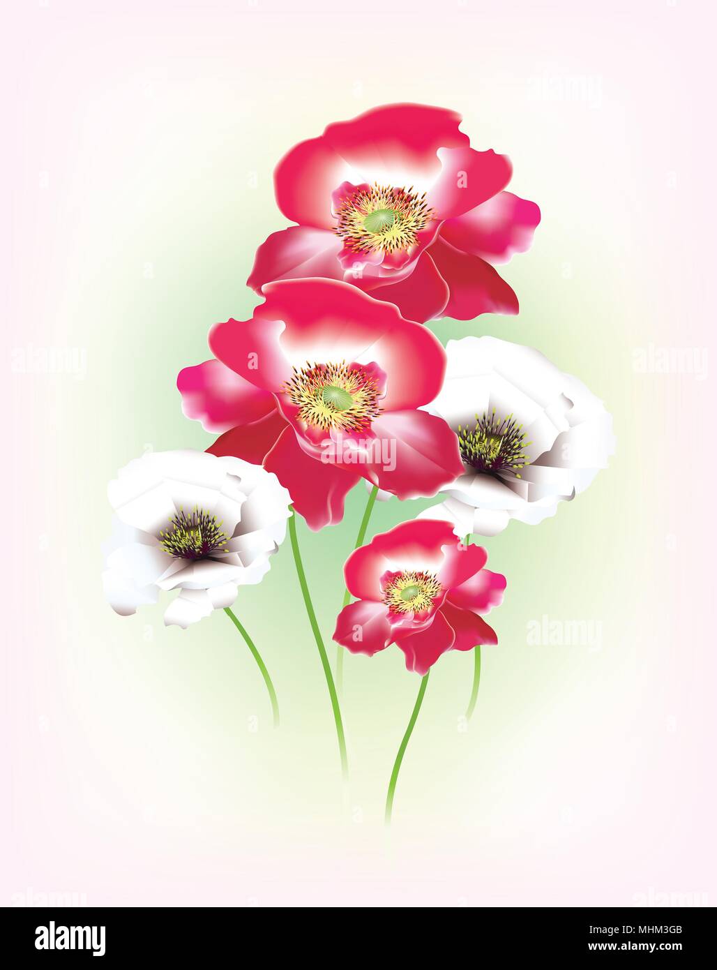 Colorful poppies in a pastel color background Stock Photo - Alamy