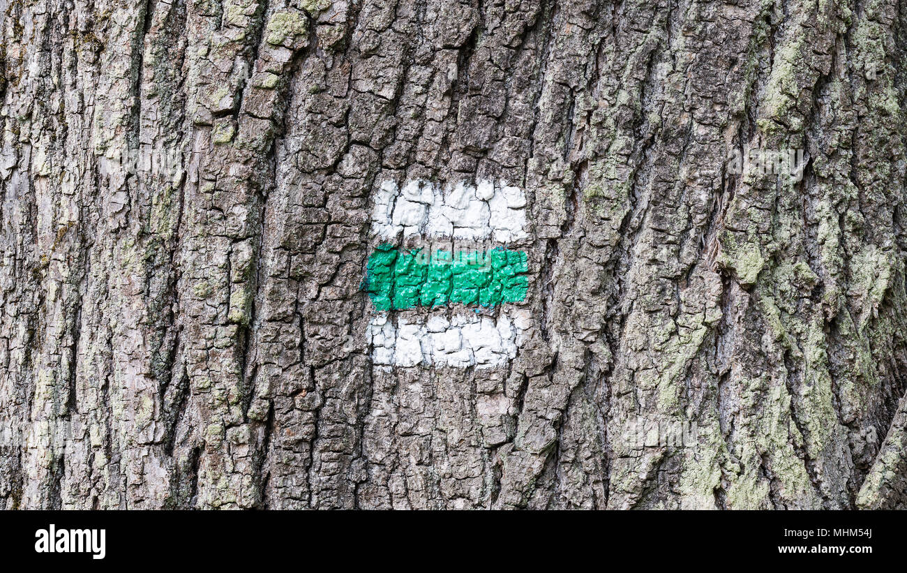 Touristic sign on bark. Track marking close-up. Three painted stripes ...