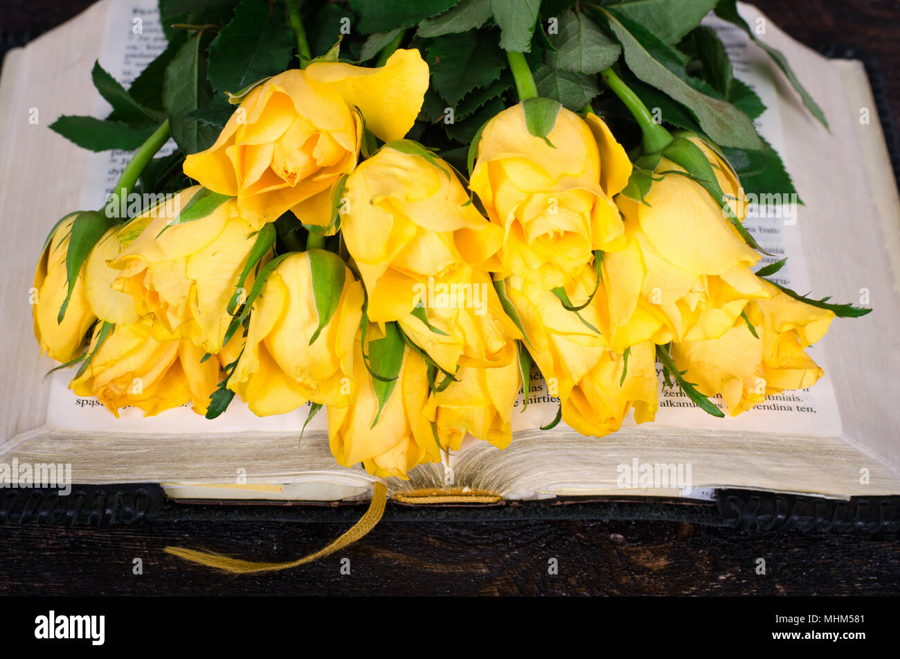 Sheet yellow old book hi-res stock photography and images - Alamy