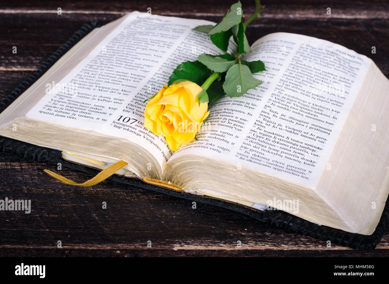 Yellow rose on top of an old Bible Stock Photo - Alamy