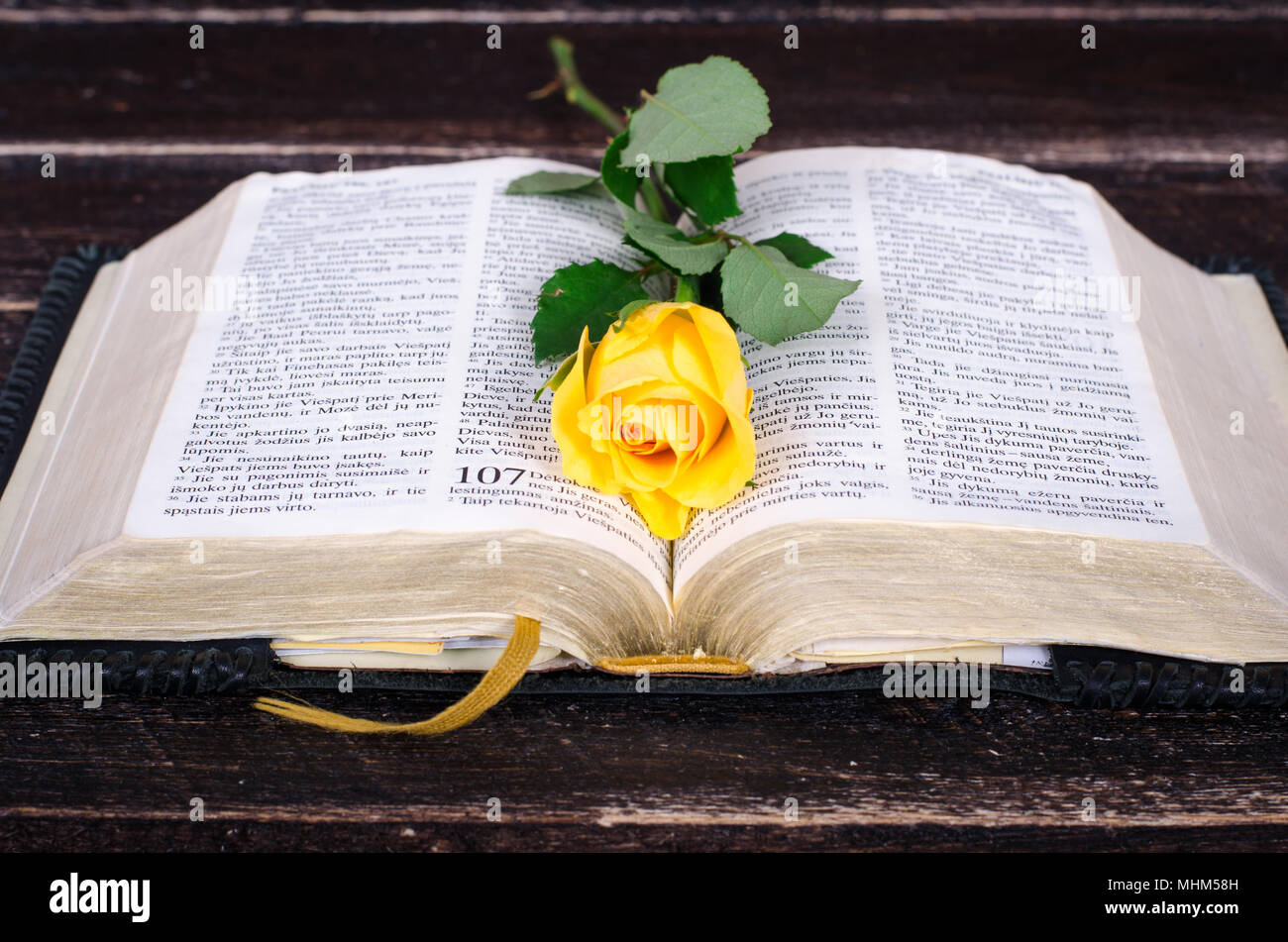 Yellow rose on top of an old Bible Stock Photo - Alamy