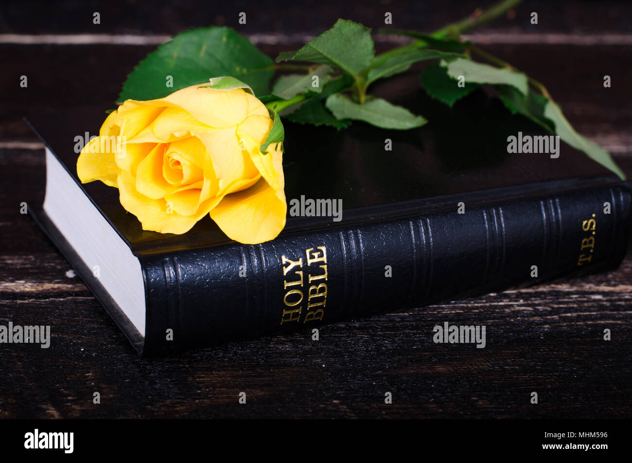 Christian Rose High Resolution Stock Photography and Images - Alamy