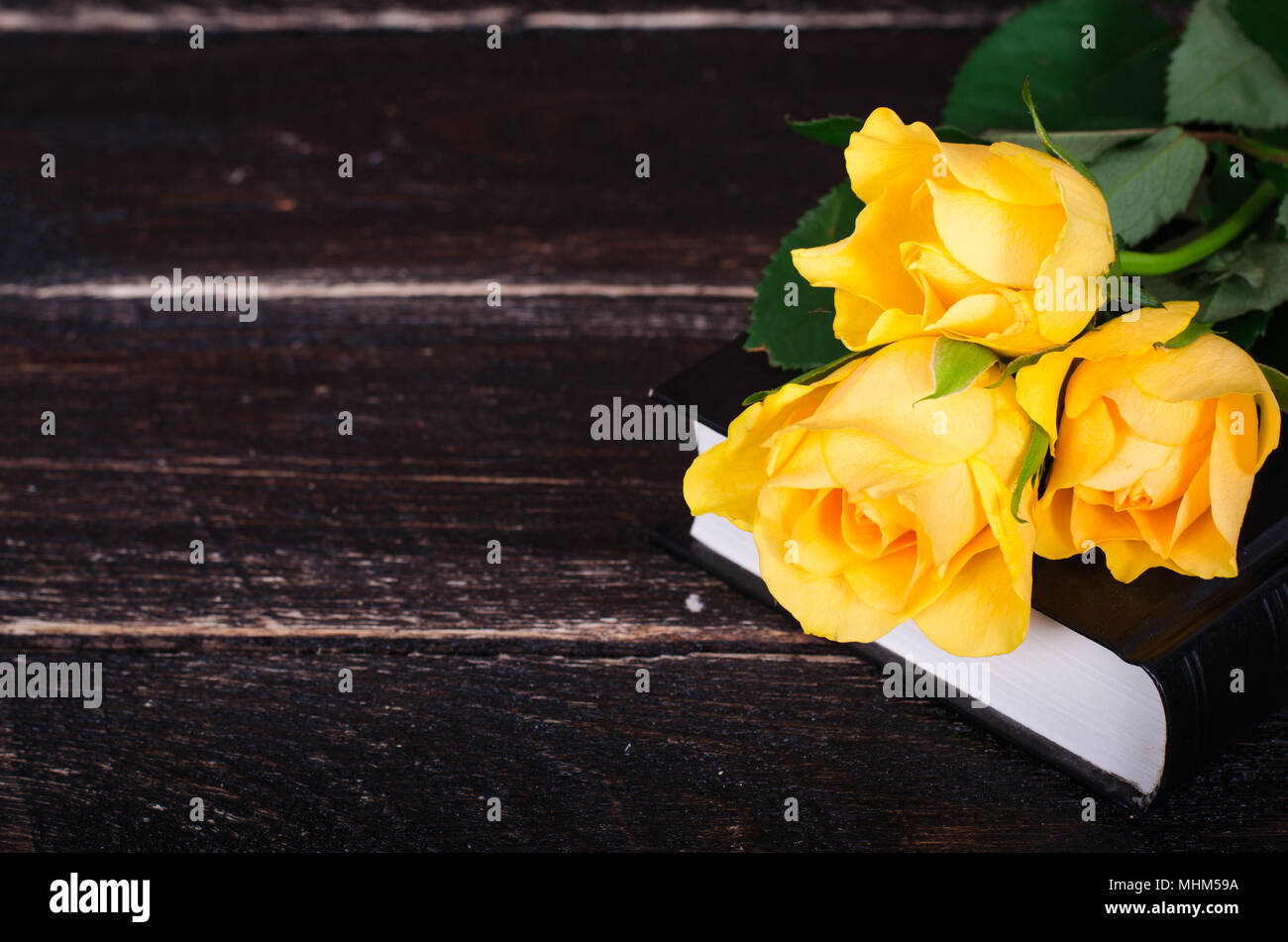 Yellow roses laying on a Bible, wooden background. Free space for your ...
