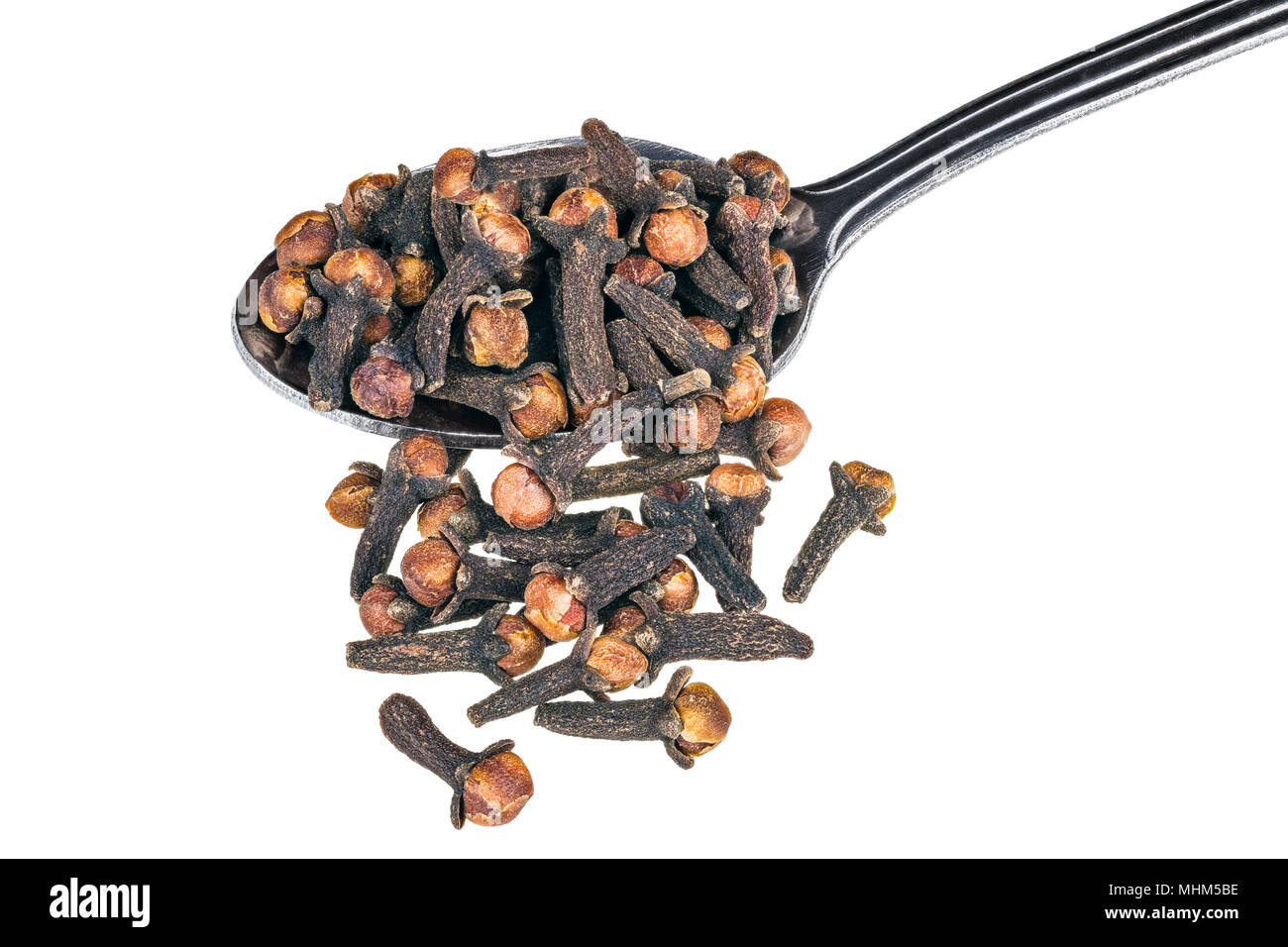 Close-up of scented cloves on a spoon. Syzygium aromaticum. Stainless ...