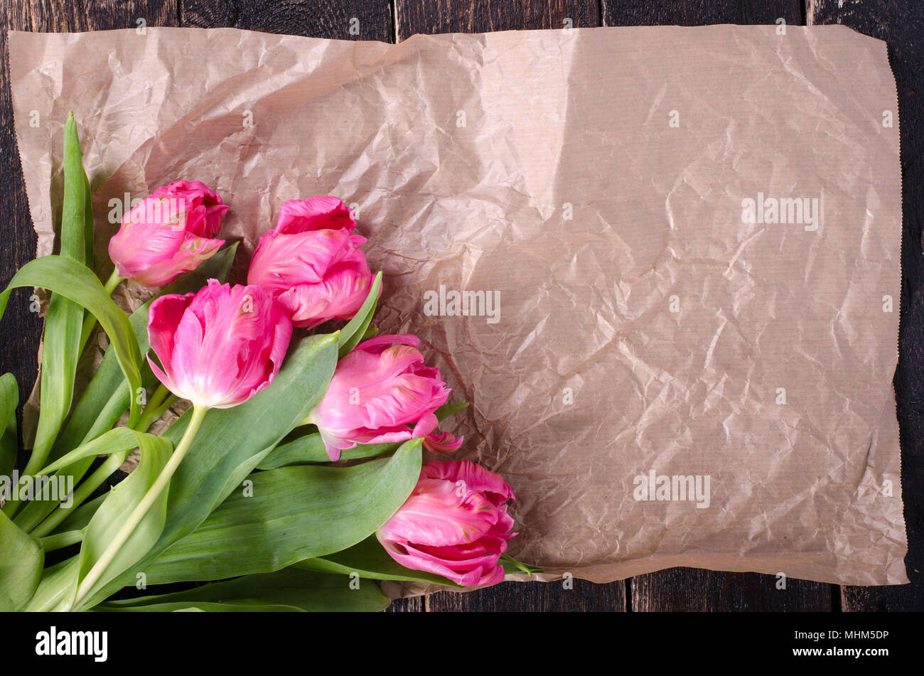 Beautiful pink tulips in paper on vintage paper. Free space for your ...