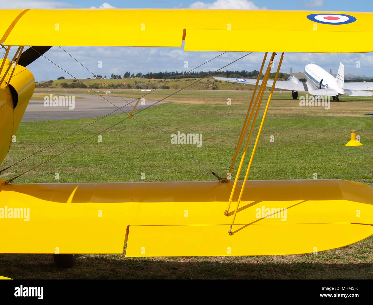 Bi wings hi-res stock photography and images - Alamy