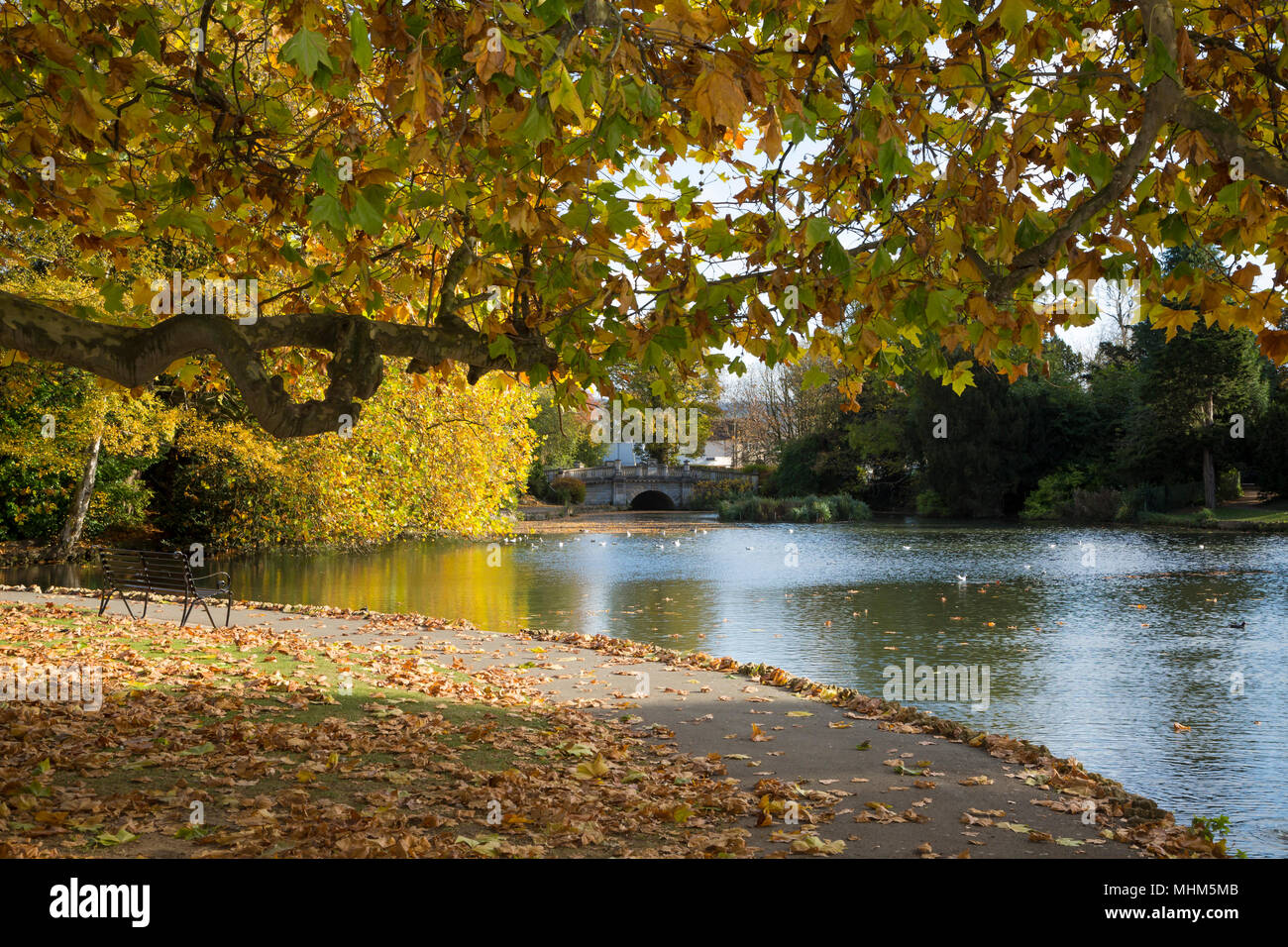 Collection of autumn colours colors hi-res stock photography and images ...