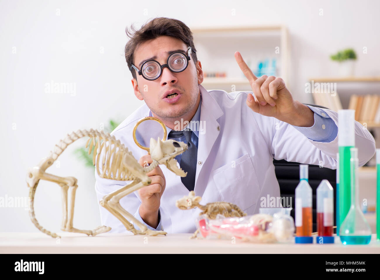 Funny scientist with cat skeleton in lab clinic Stock Photo - Alamy