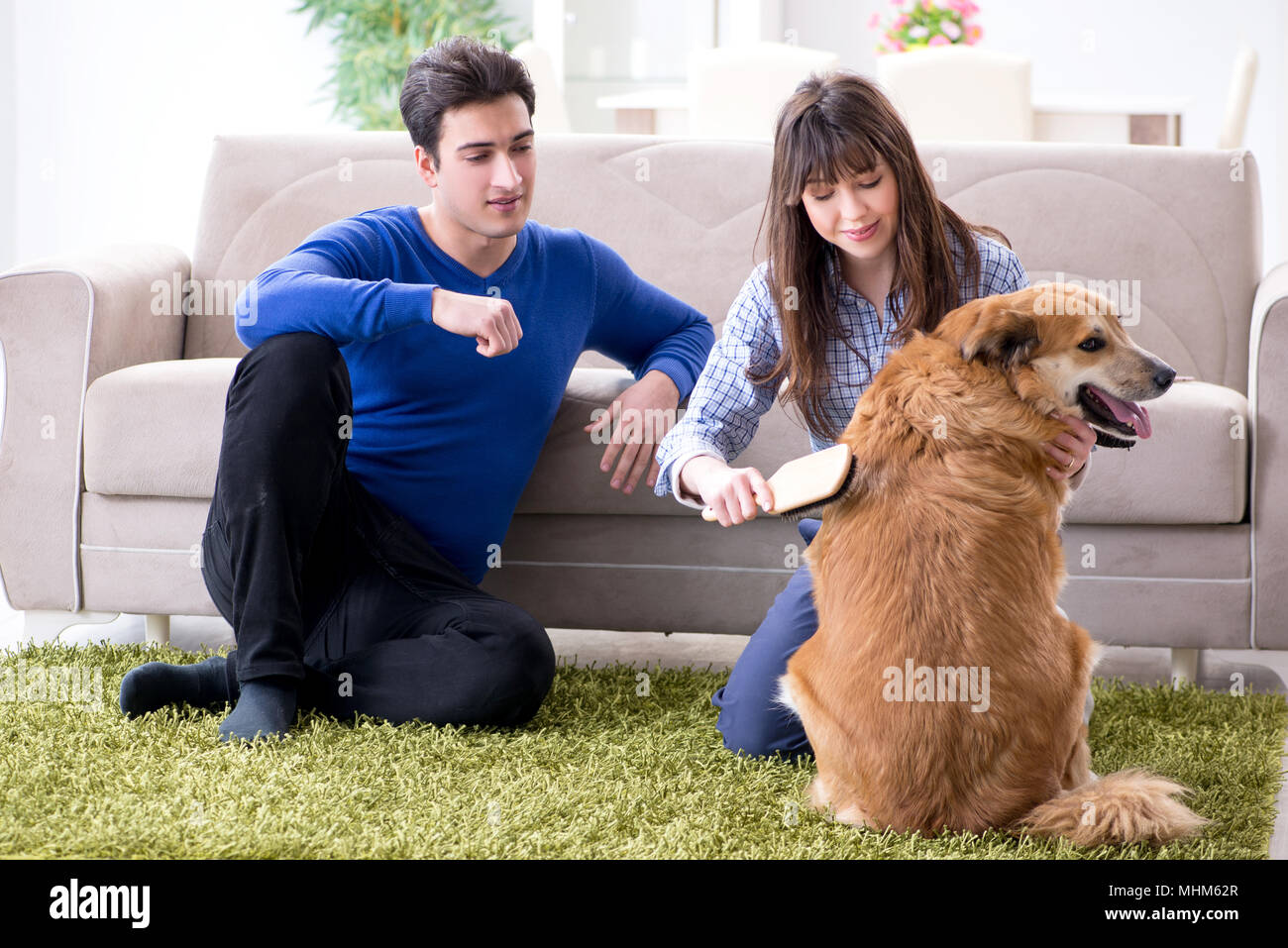 Happy family with golden retriever dog Stock Photo - Alamy