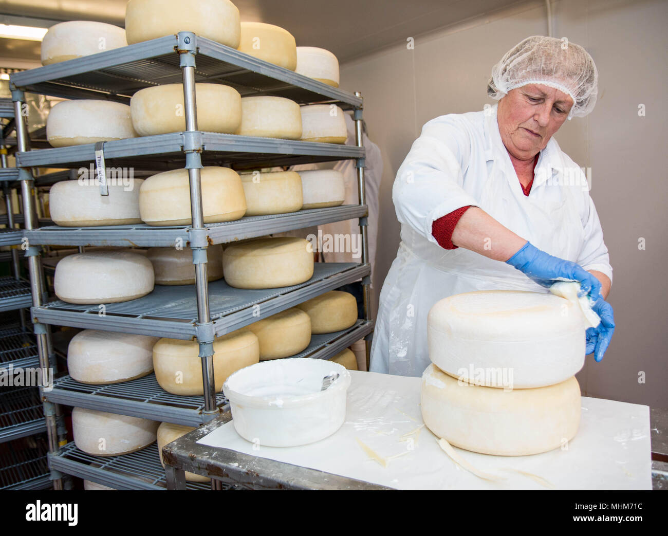 Lyburn cheese - Hampshire Artisan food Stock Photo - Alamy