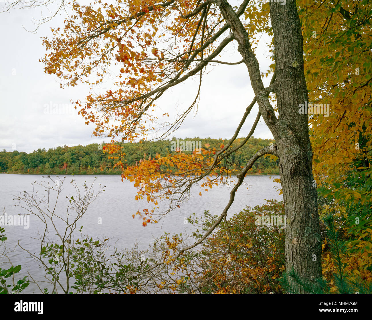 Henry david thoreau book walden hi-res stock photography and images - Alamy