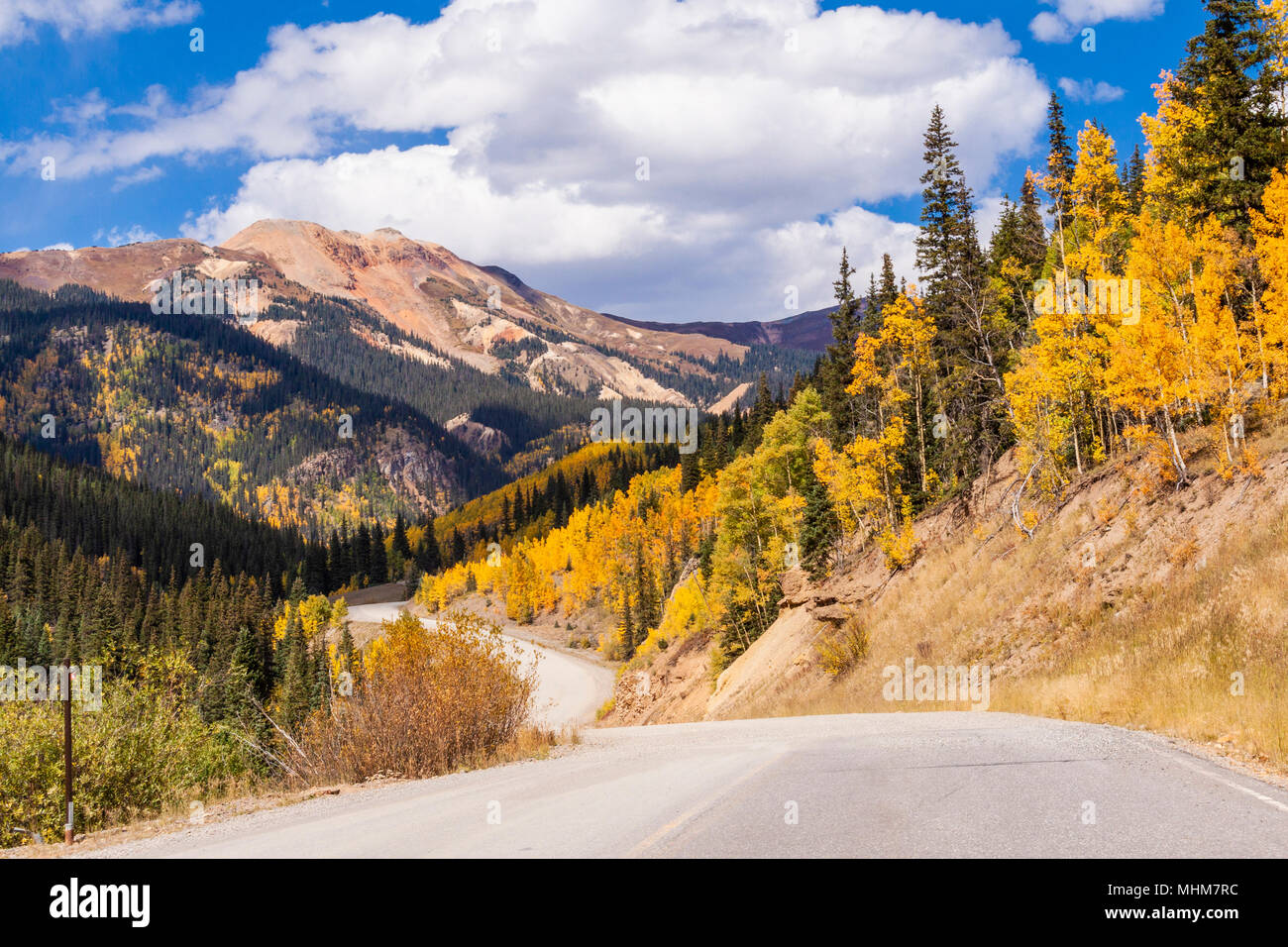 Autumn Color with Aspens turning yellow and orange at the National ...