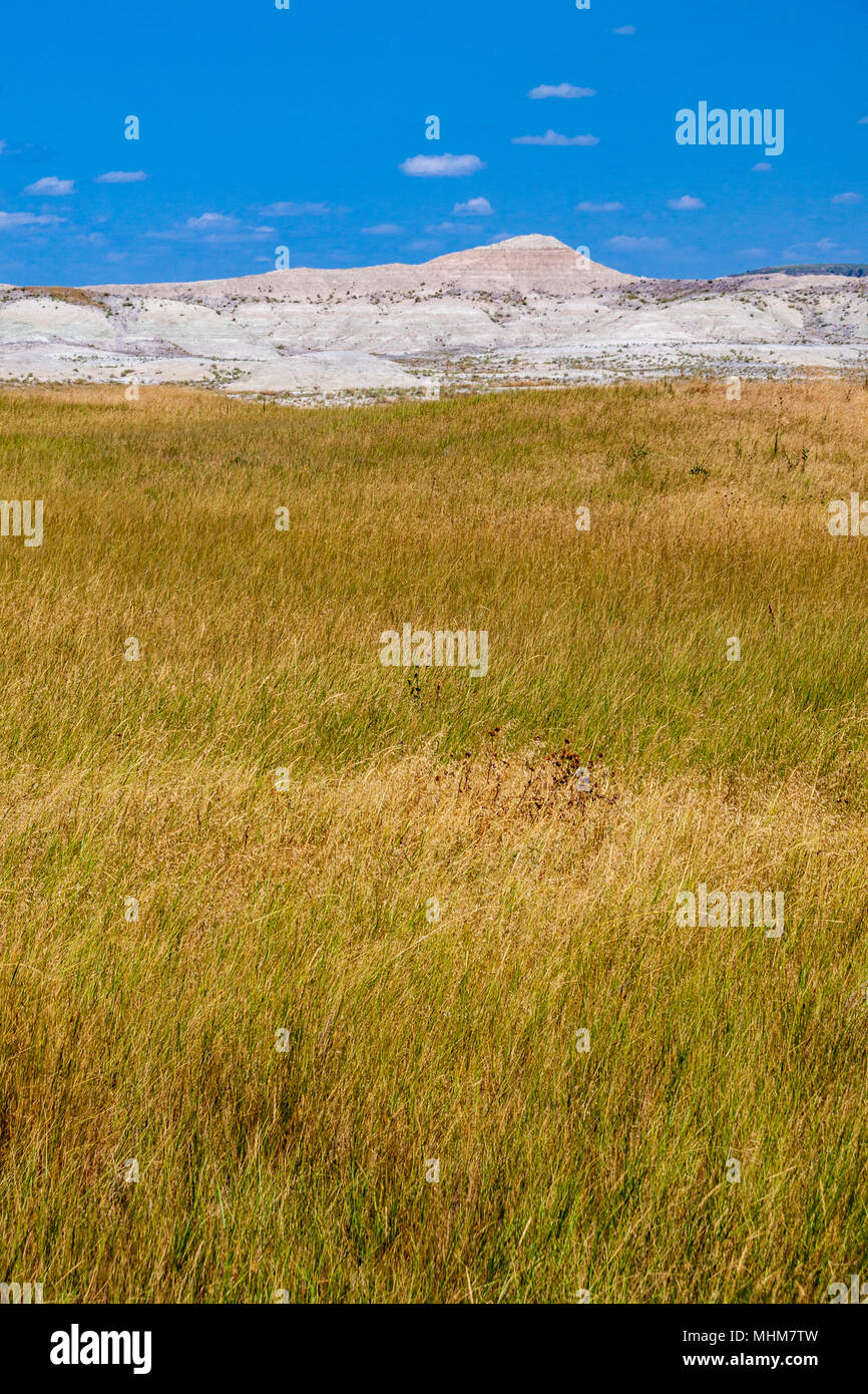 National grasslands hi-res stock photography and images - Alamy