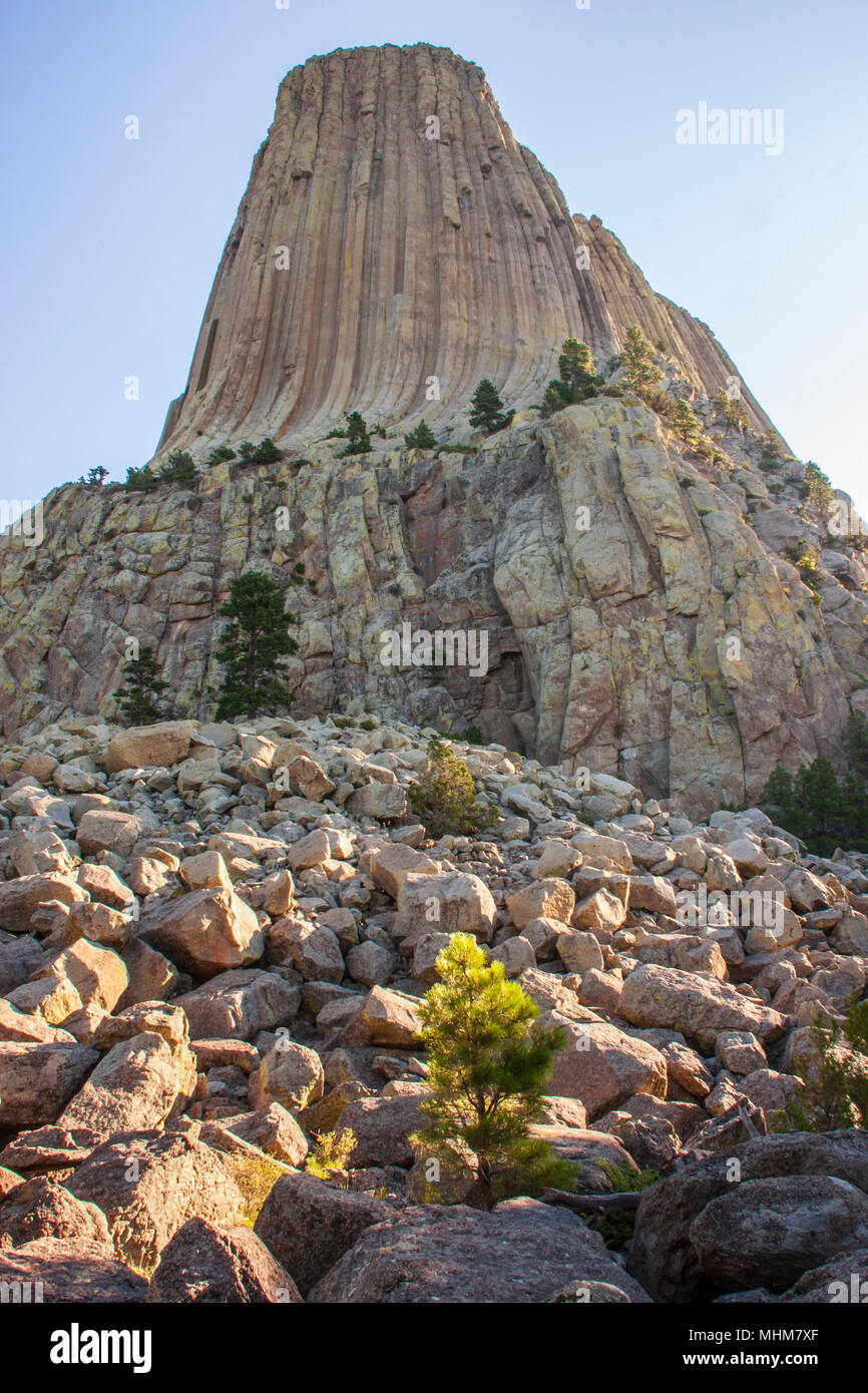 Falling out bed hi-res stock photography and images - Alamy