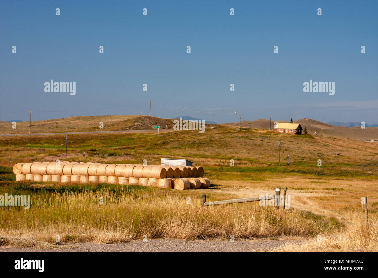 Large scale grain farming and cattle ranching on the almost treeless ...