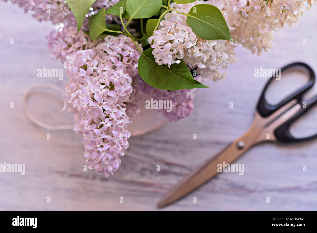 Bouquet Lilac blossom with old iron garden scissors on white wooden ...
