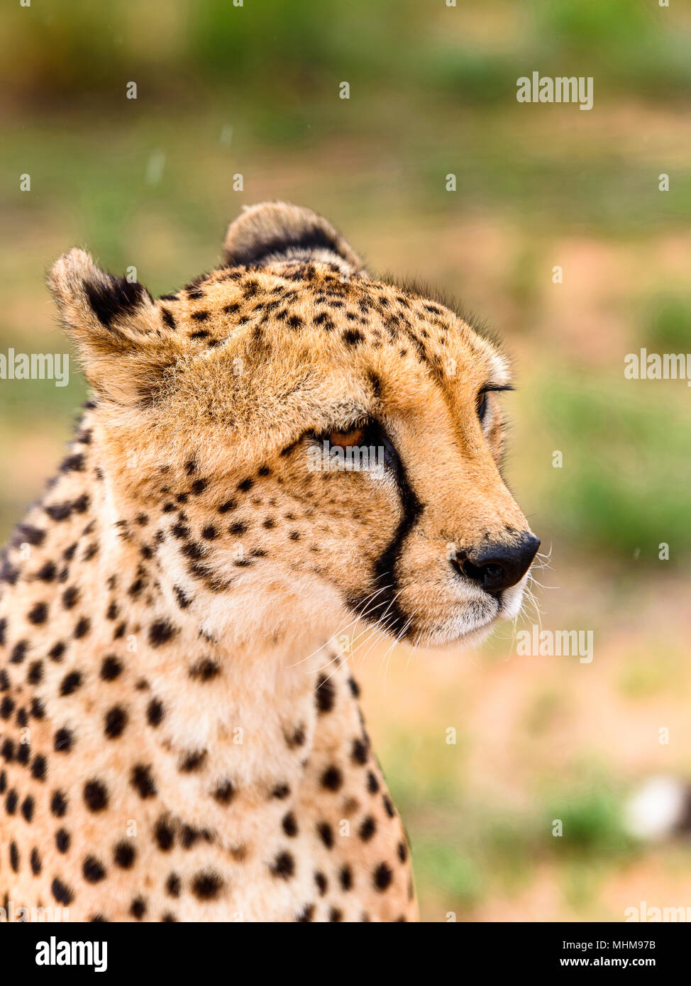 Naankuse Namibia High Resolution Stock Photography and Images - Alamy