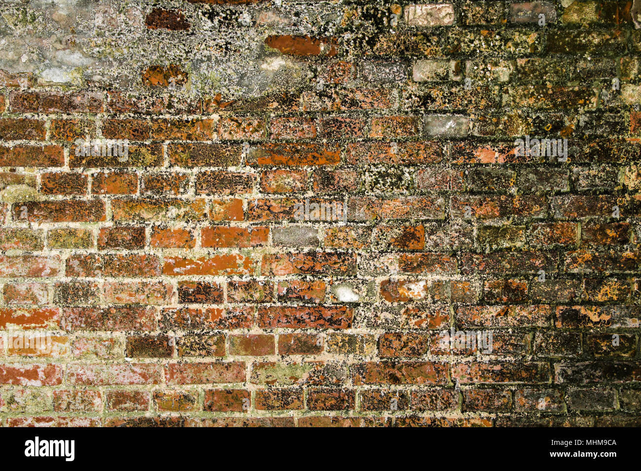 Very old damaged brick wall, under construction background Stock Photo ...