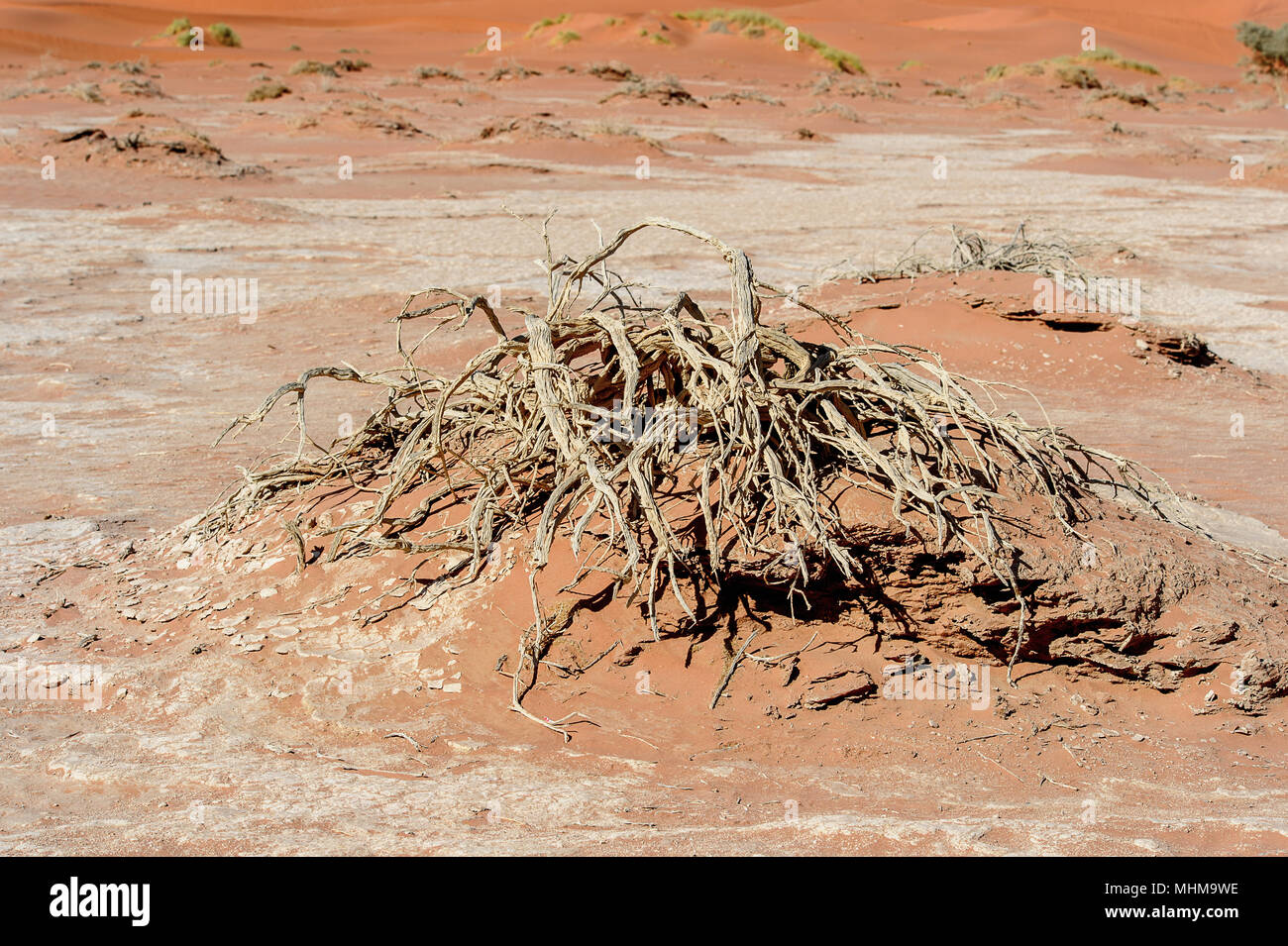 Spectacular landscape of the Namibia desert, Sossuvlei, Africa Stock ...