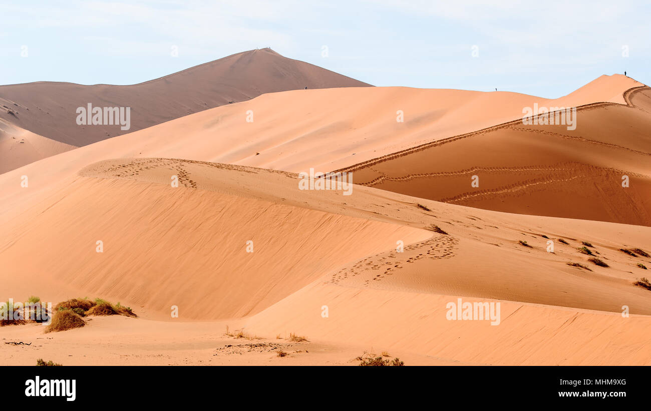 Amazing view of the Namibia desert, Sossuvlei, Africa Stock Photo - Alamy