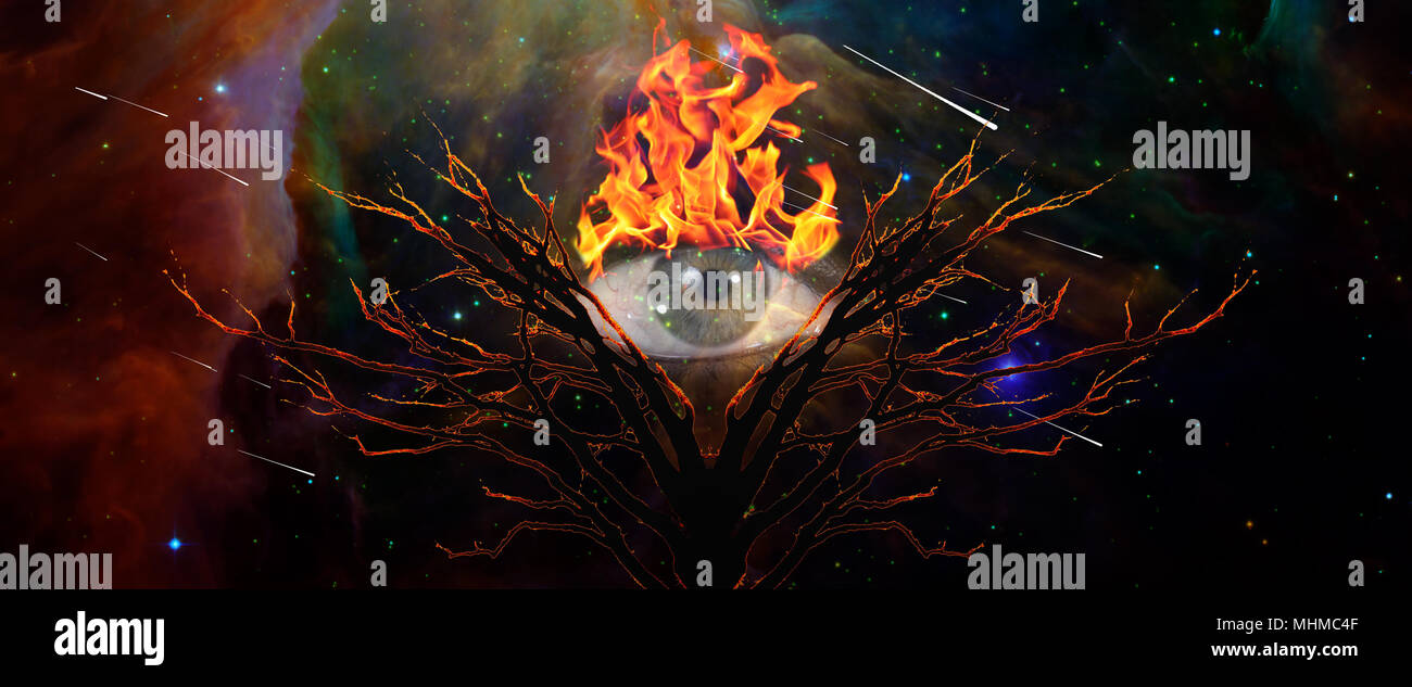 Mystic Tree of Life and Burning Eye of God Stock Photo - Alamy