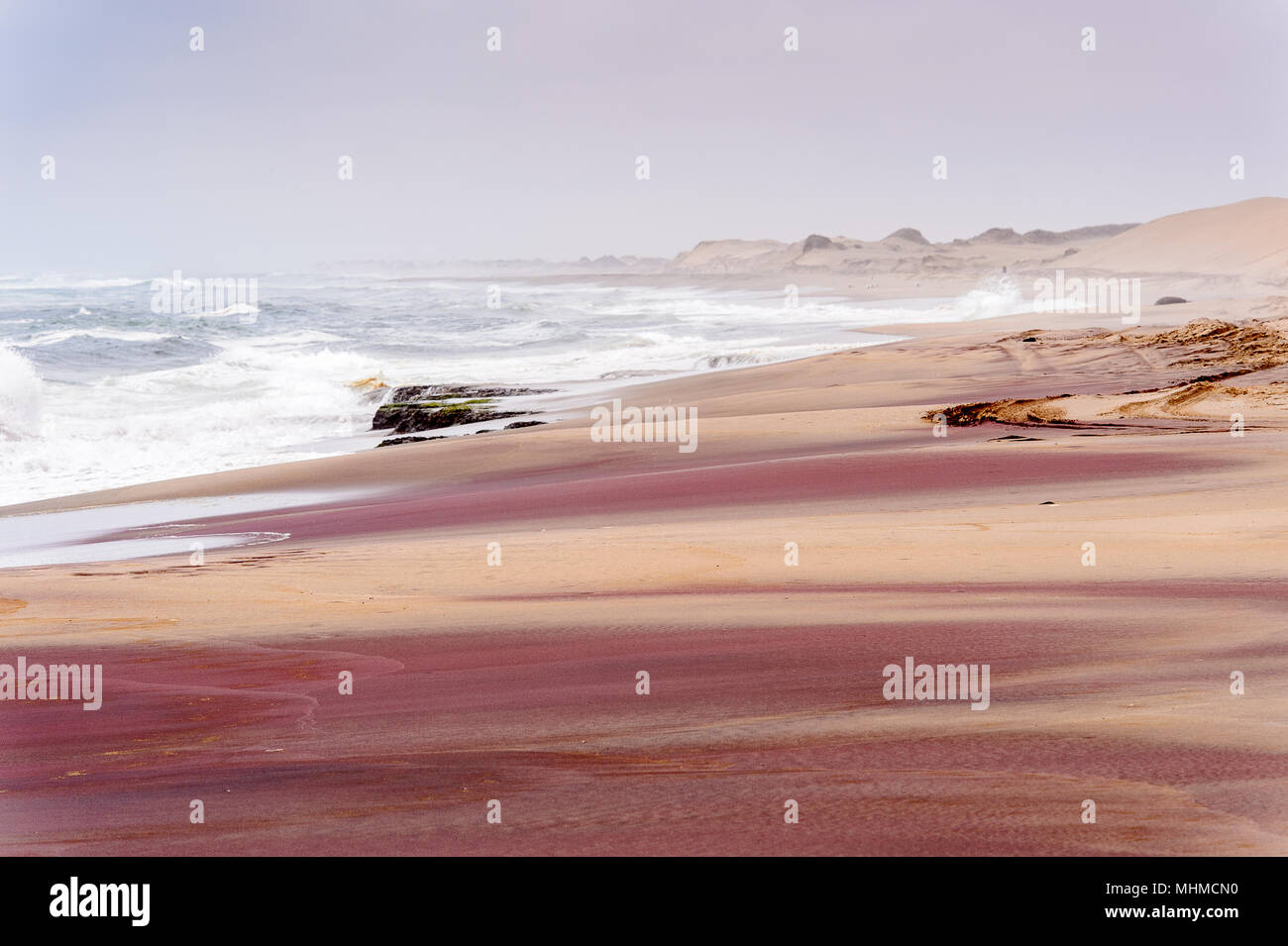 Atlantic Ocean coast at the Namib-Naukluft National Park, Namibia Stock ...