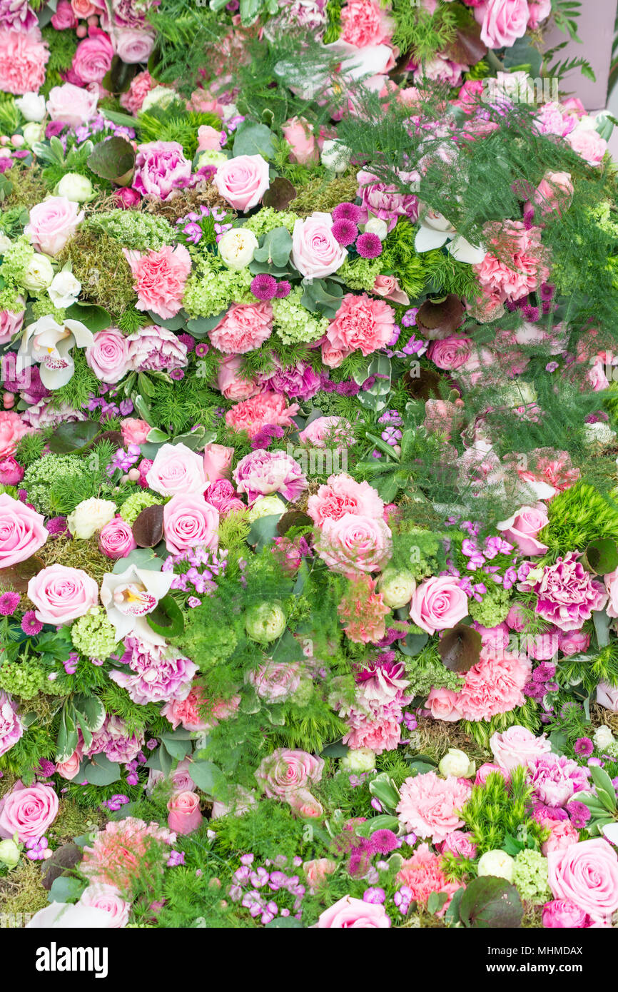 Display of pink roses Stock Photo - Alamy
