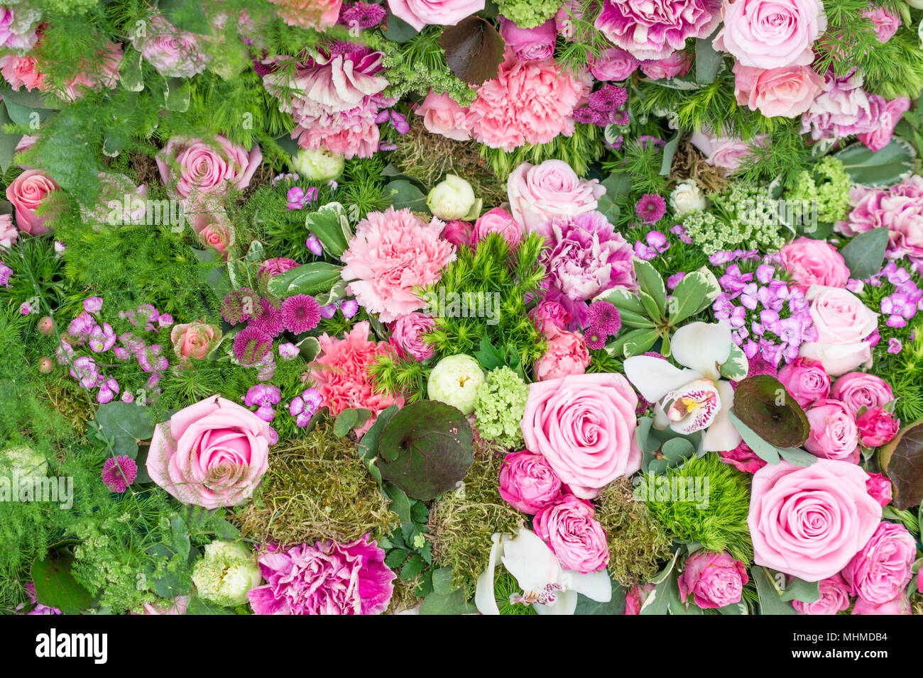 Display of pink roses Stock Photo - Alamy