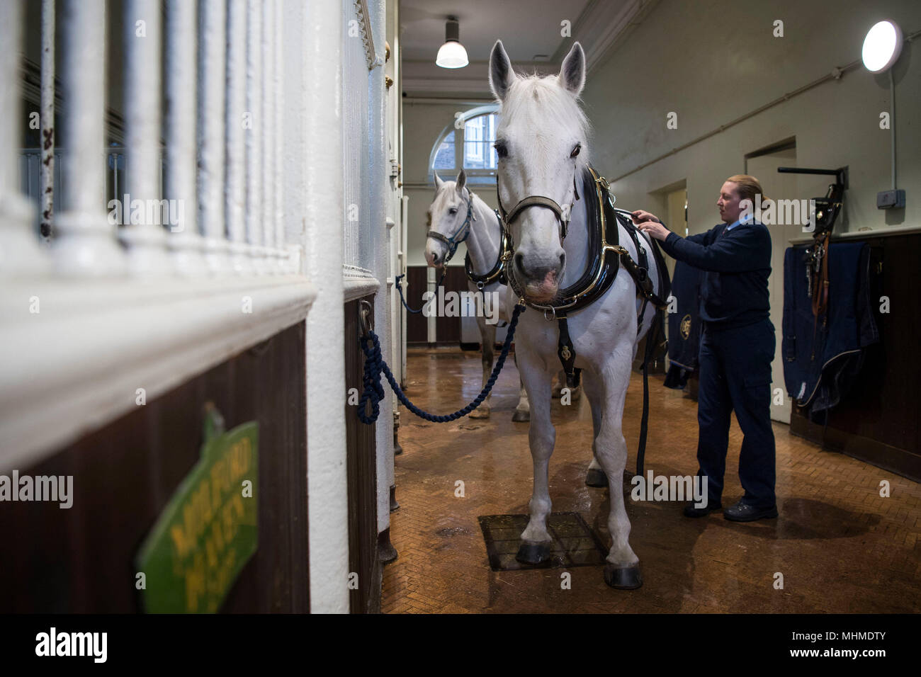 Groomed royal mews buckingham palace hi-res stock photography and ...