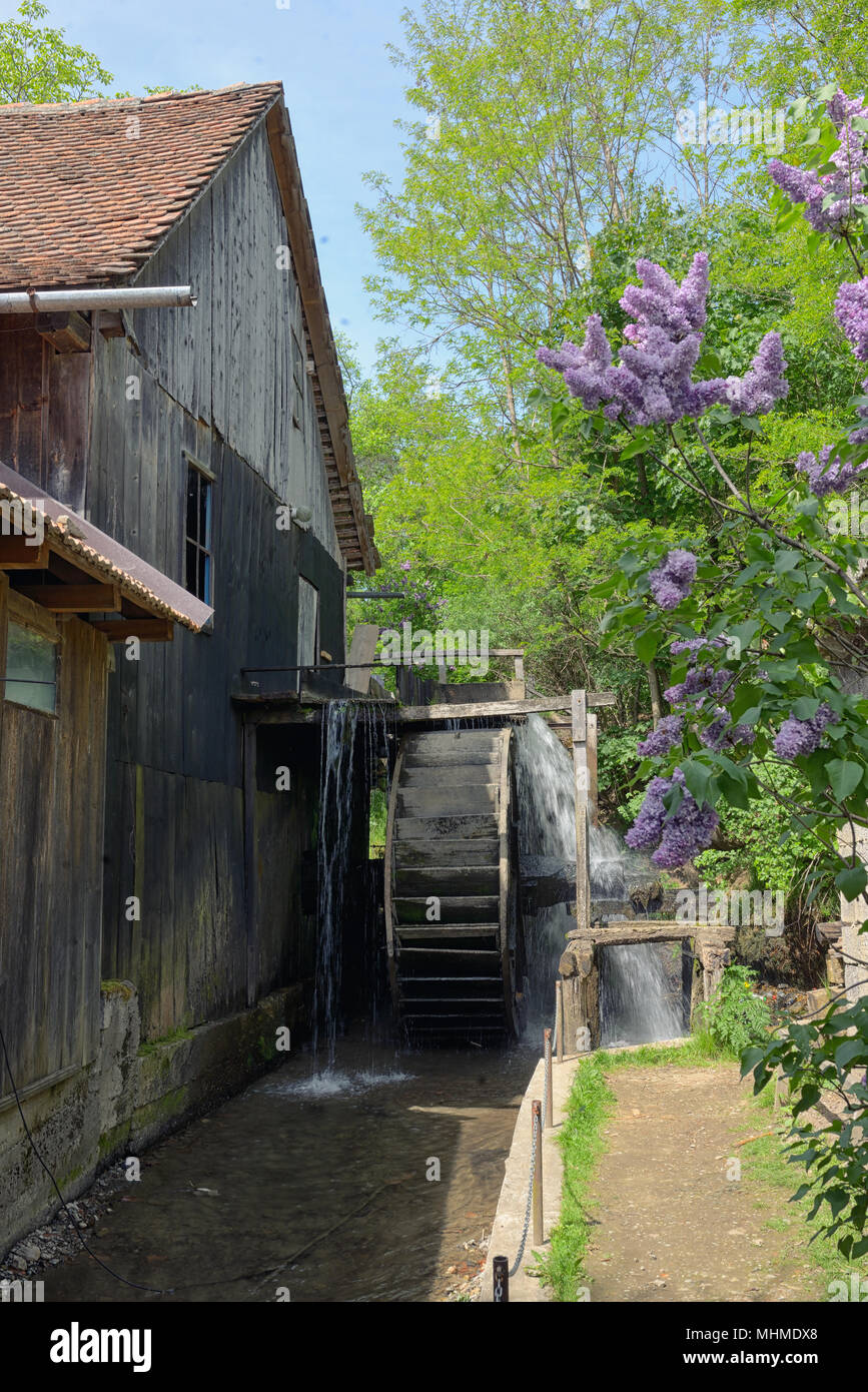 Spring at the Water Mill in Ohaba, Romania Stock Photo - Alamy