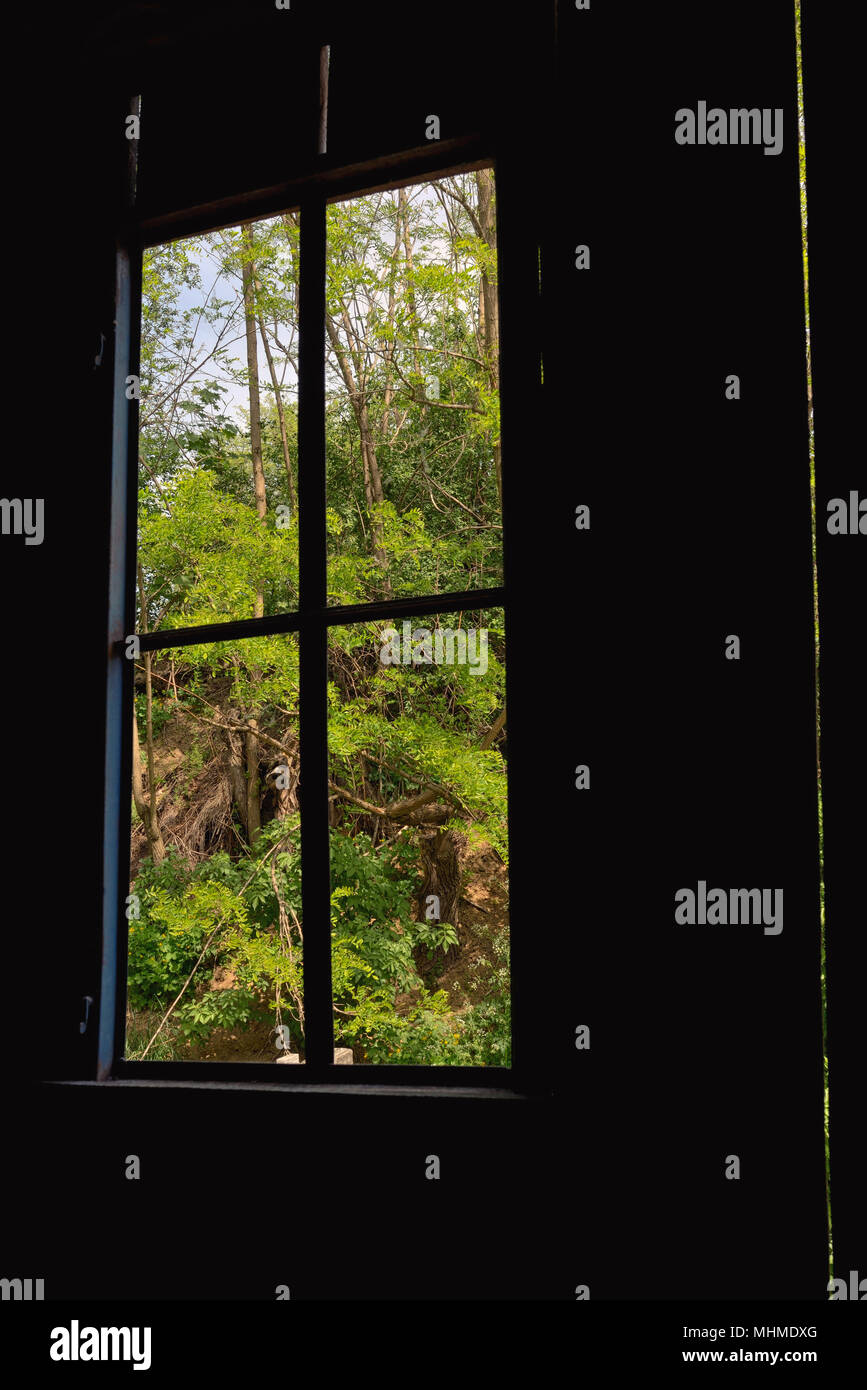 Window frame and nature in spring Stock Photo - Alamy