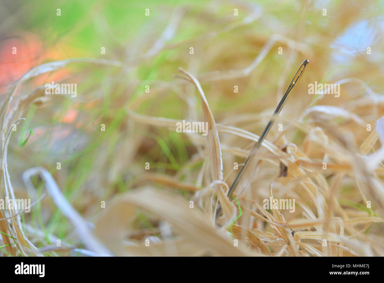 Needle in a haystack concept hi-res stock photography and images - Alamy