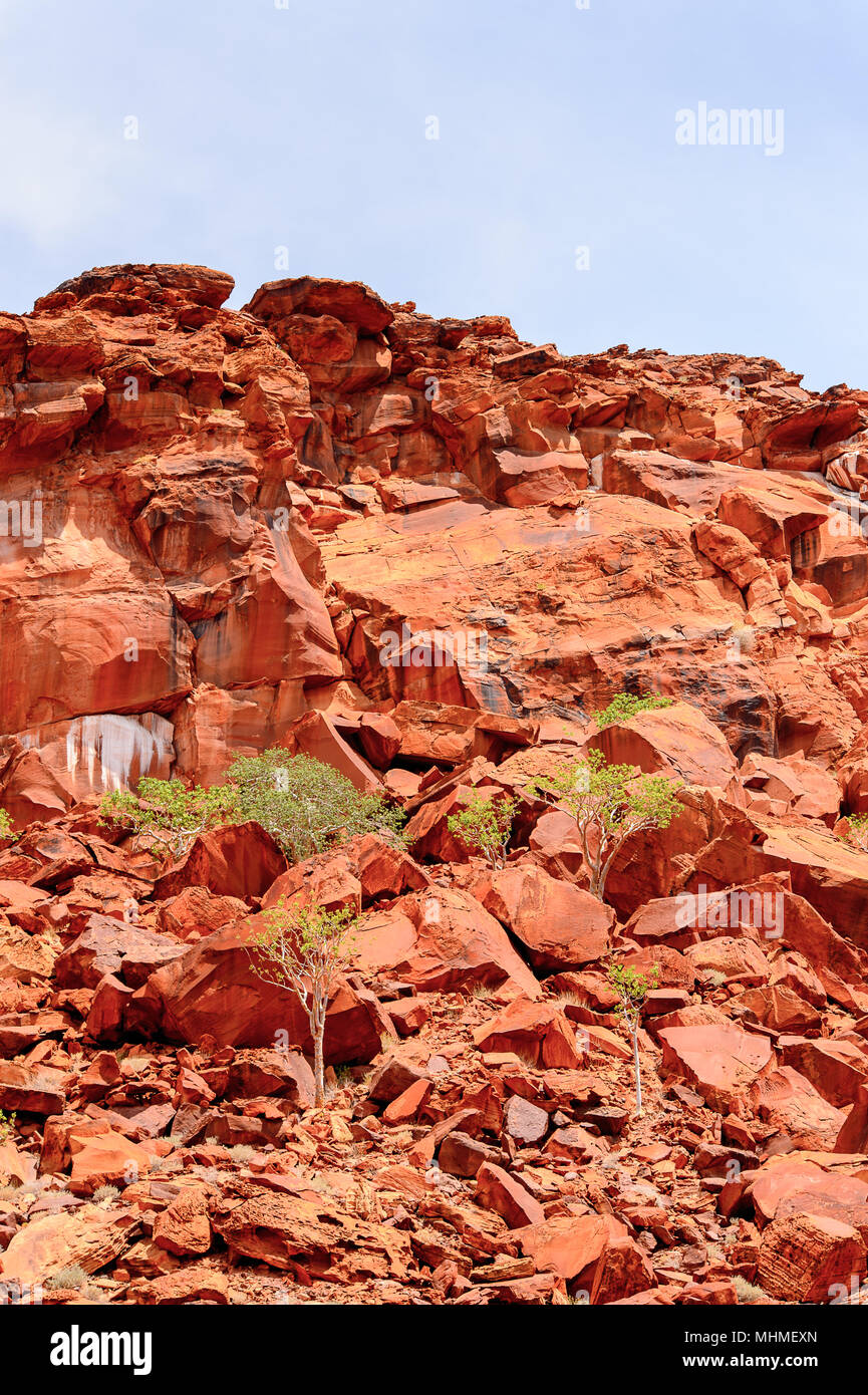 Landscape of the Rocks and nature of Twyfelfontein, Namibia Stock Photo ...