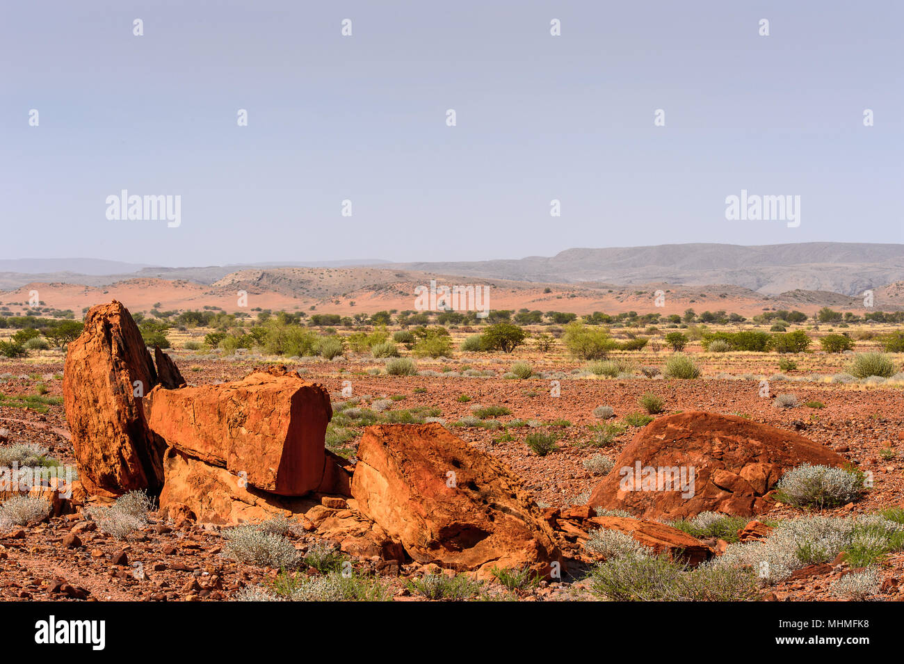 Rocks and stones of Twyfelfontein, Namibia Stock Photo - Alamy