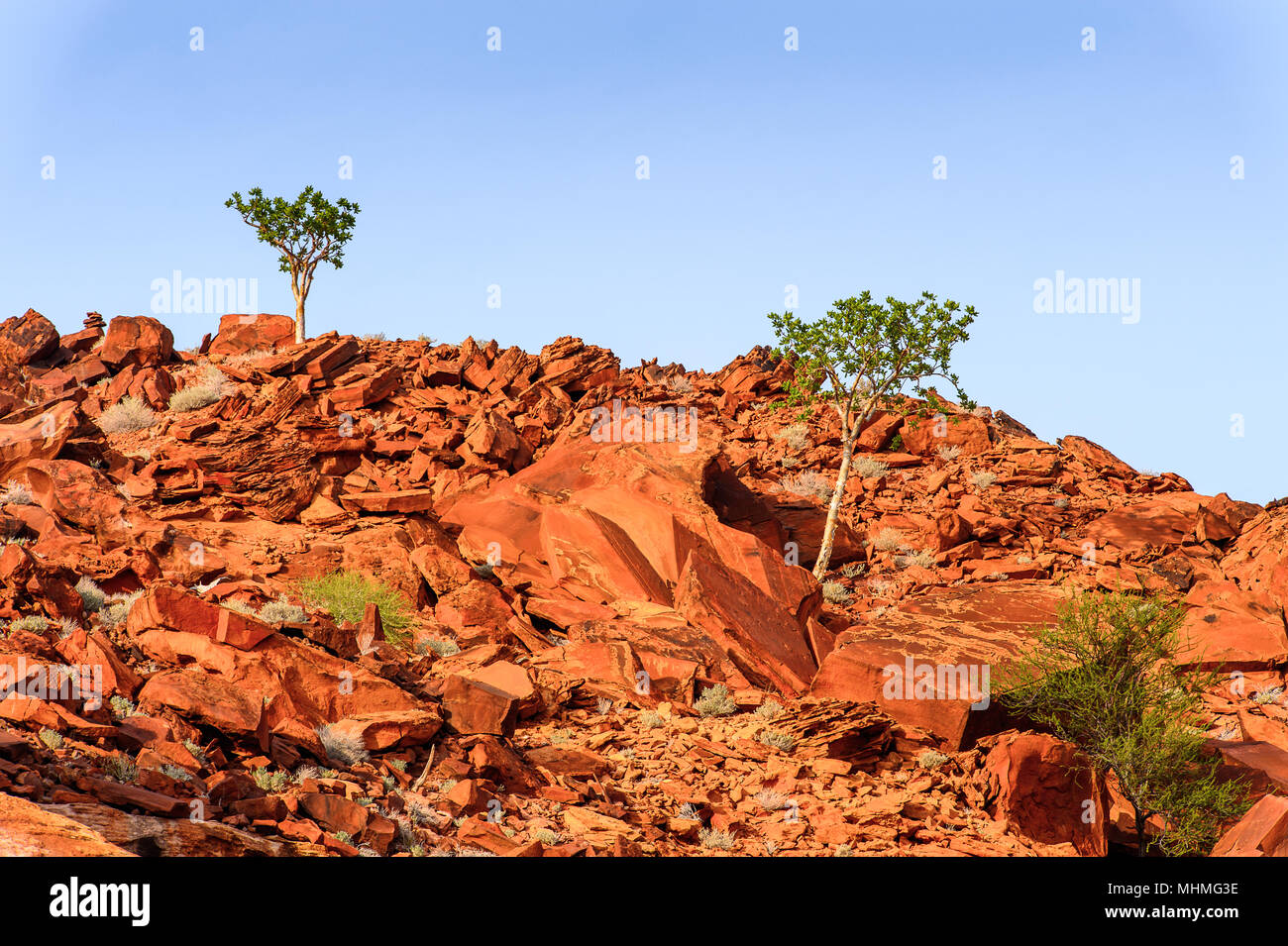 Rocks of Twyfelfontein, Namibia Stock Photo - Alamy