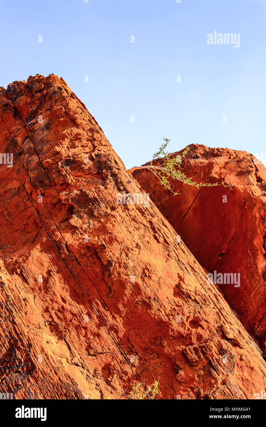 Rocks of Twyfelfontein, Namibia Stock Photo - Alamy