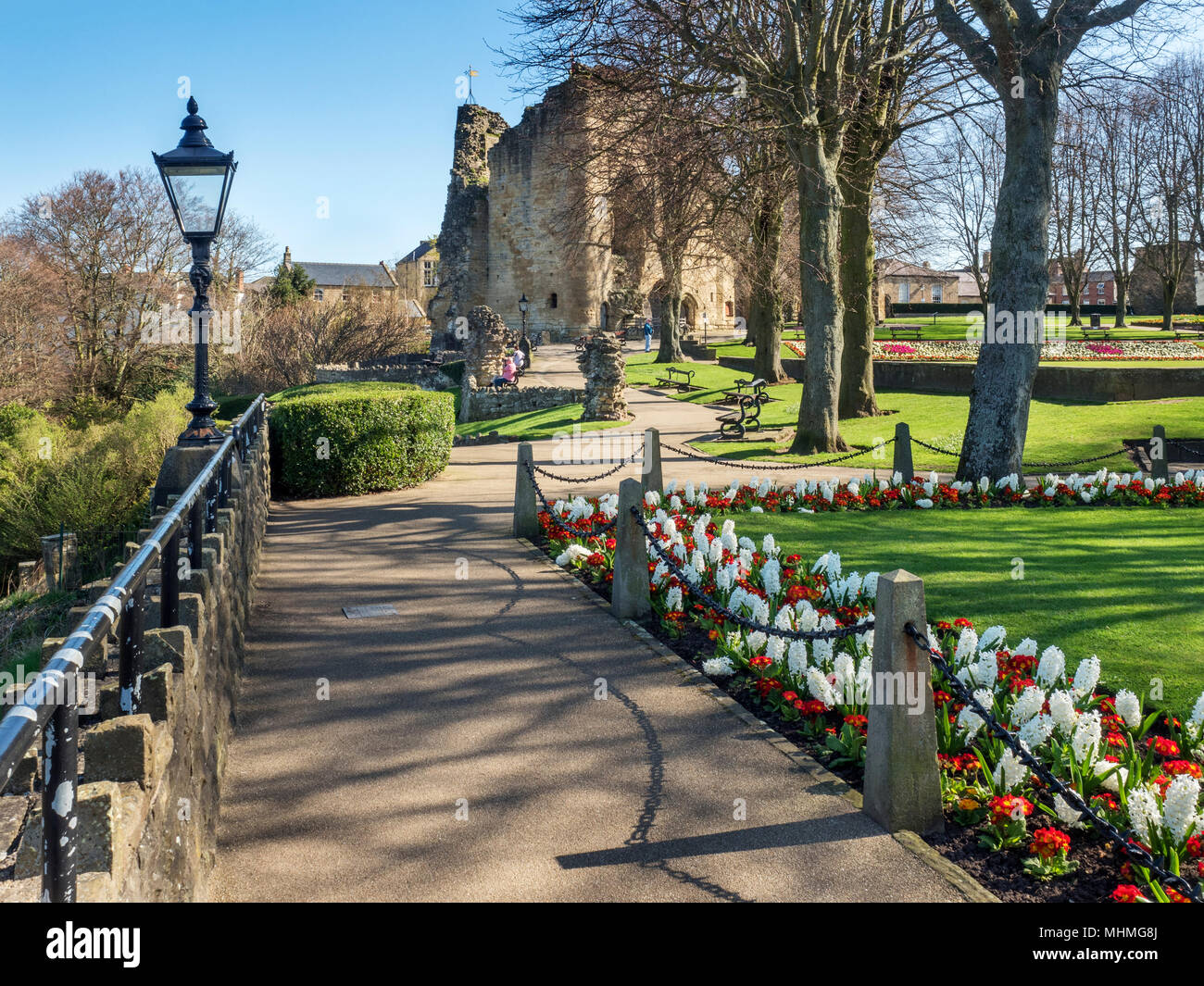Spring flowers in the castle grounds at Knaresborough North Yorkshire ...
