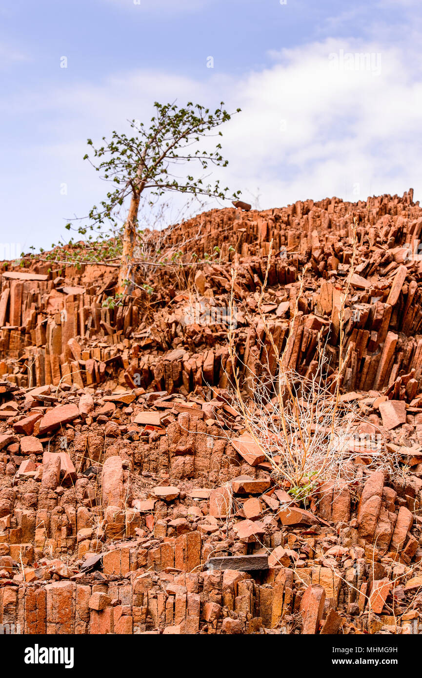 The Organ Pipes, Twyfelfontein, Damaraland, Namibia Stock Photo - Alamy