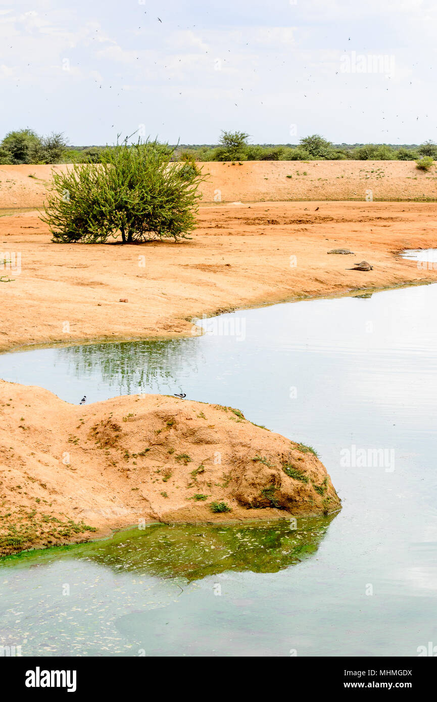 Nature of the Erindi Private Game Reserve, Namibia Stock Photo - Alamy